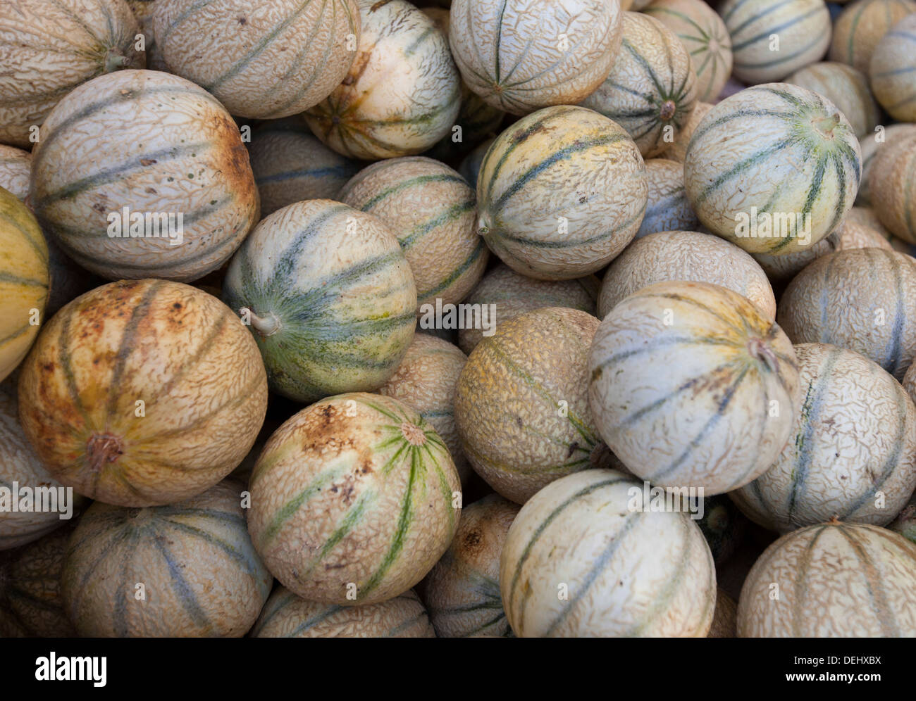 Close-up view melons market Stock Photo - Alamy