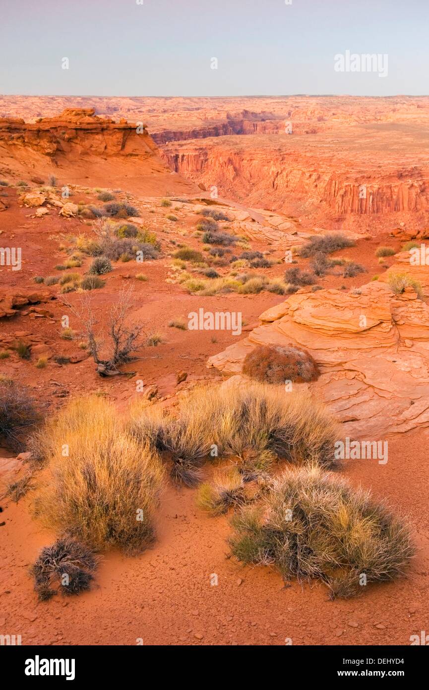 Dirty devil canyons hi-res stock photography and images - Alamy