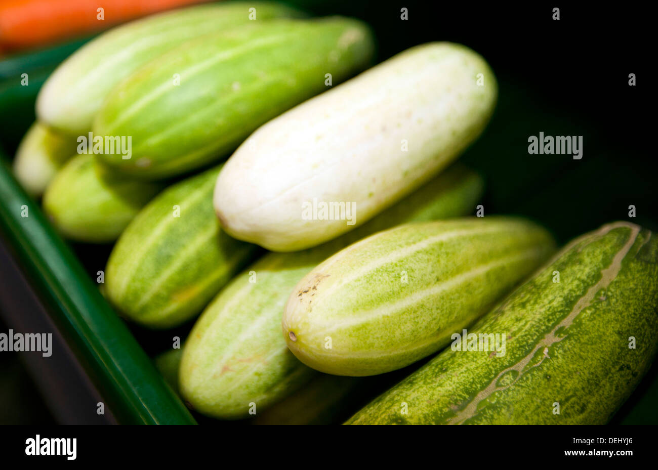 Cucumbers store hi-res stock photography and images - Alamy