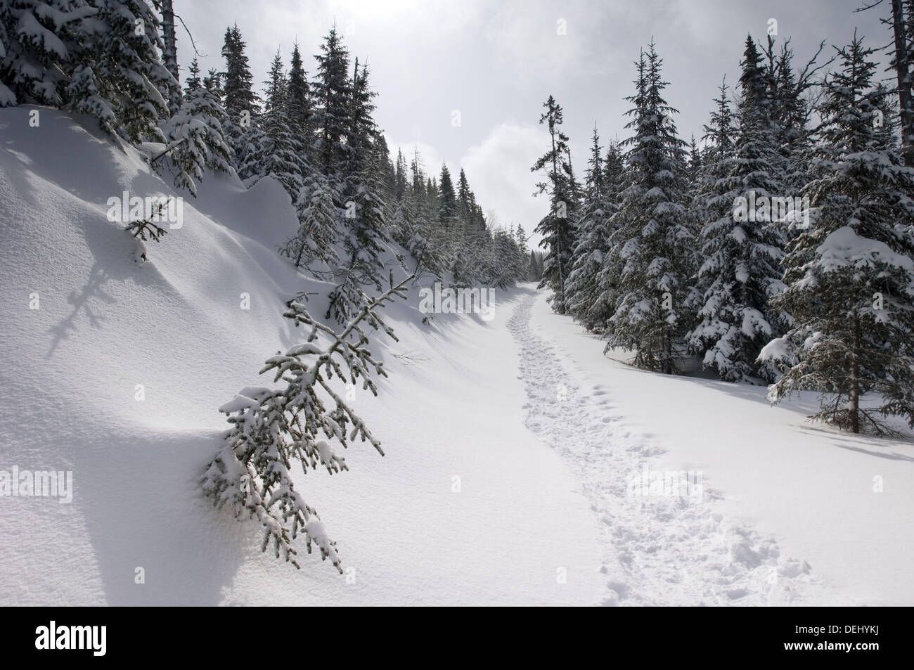 Monts Valin National Park High Resolution Stock Photography and Images ...