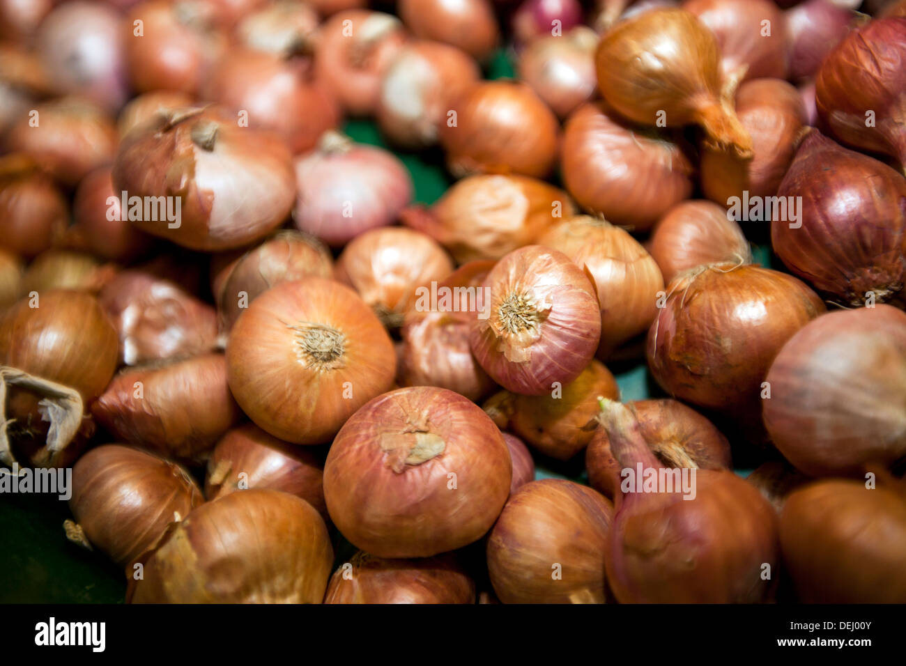 Close-up onions grocery store Stock Photo - Alamy