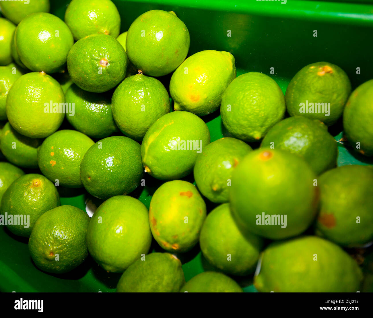 Close-up green lemons on display grocery store Stock Photo - Alamy