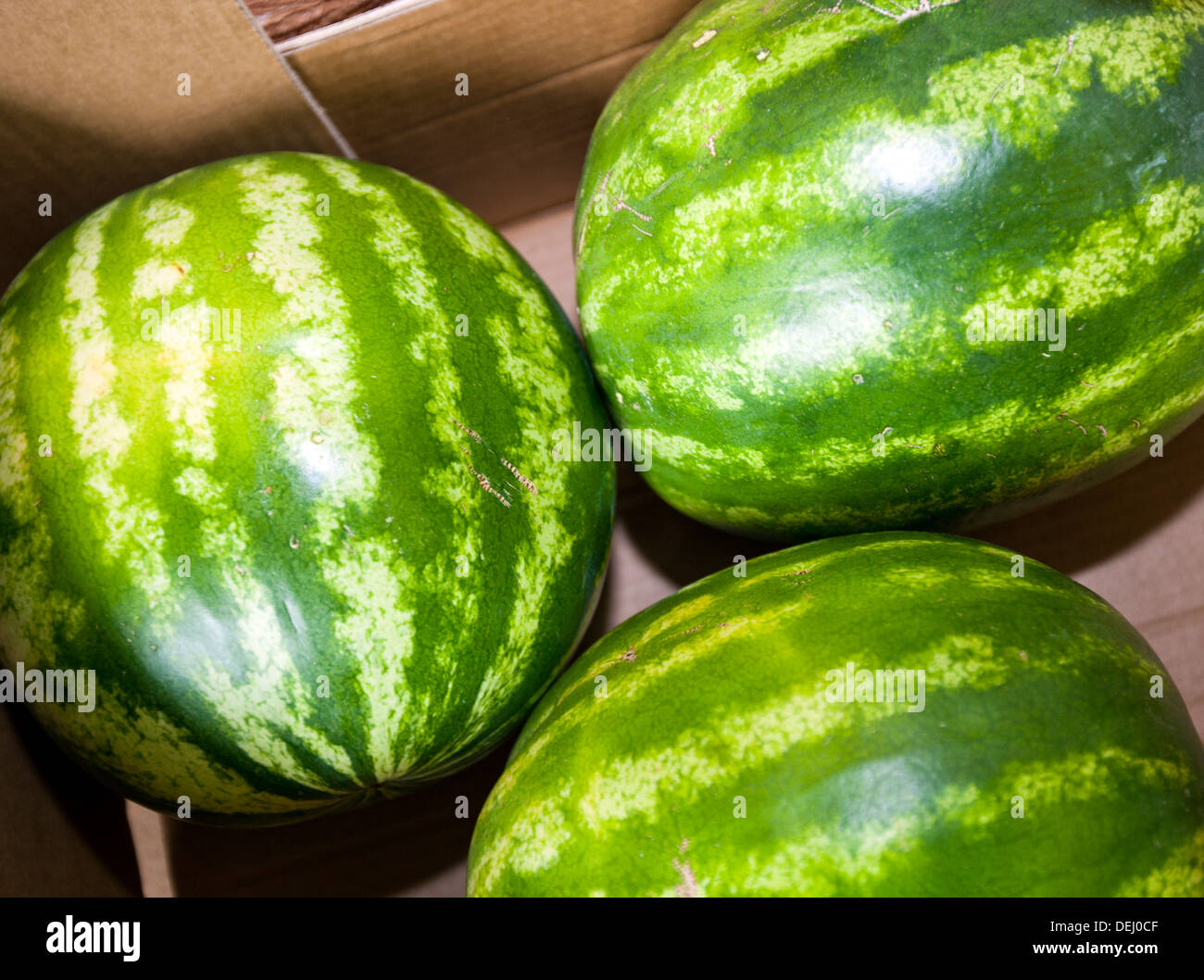 High angle view watermelons grocery store Stock Photo - Alamy