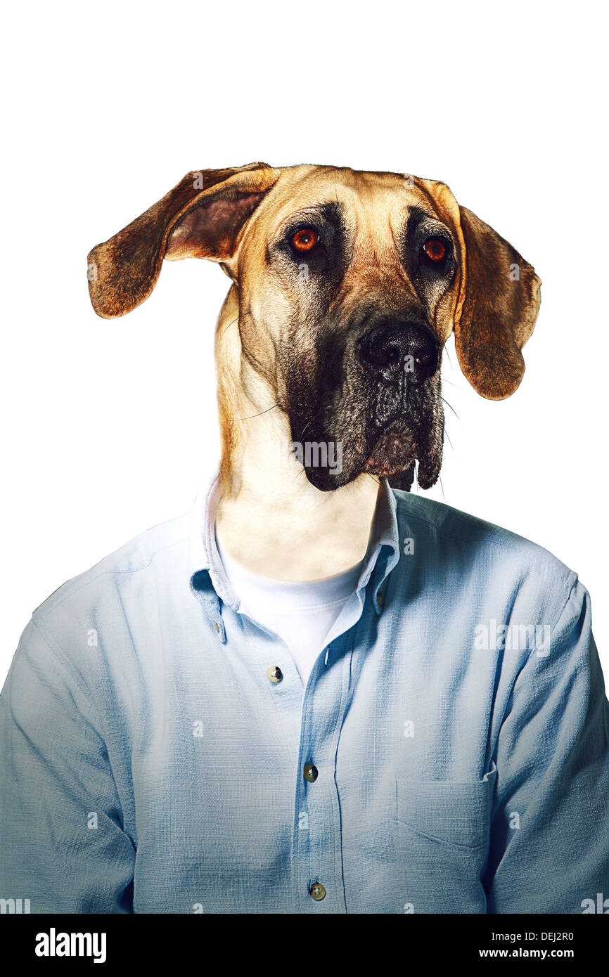 Great human body hi-res stock photography and images - Alamy