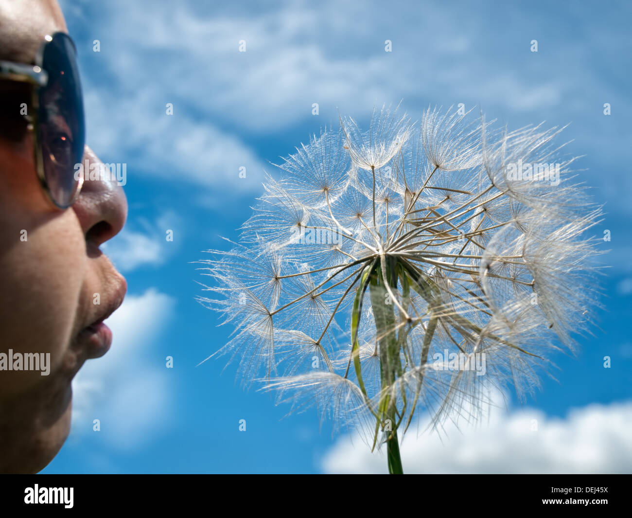 Man is blowing big dandelion with blue sky in the background Stock ...