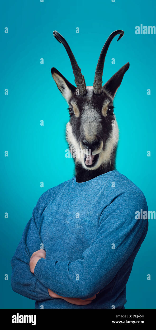 Goat body hi-res stock photography and images - Alamy