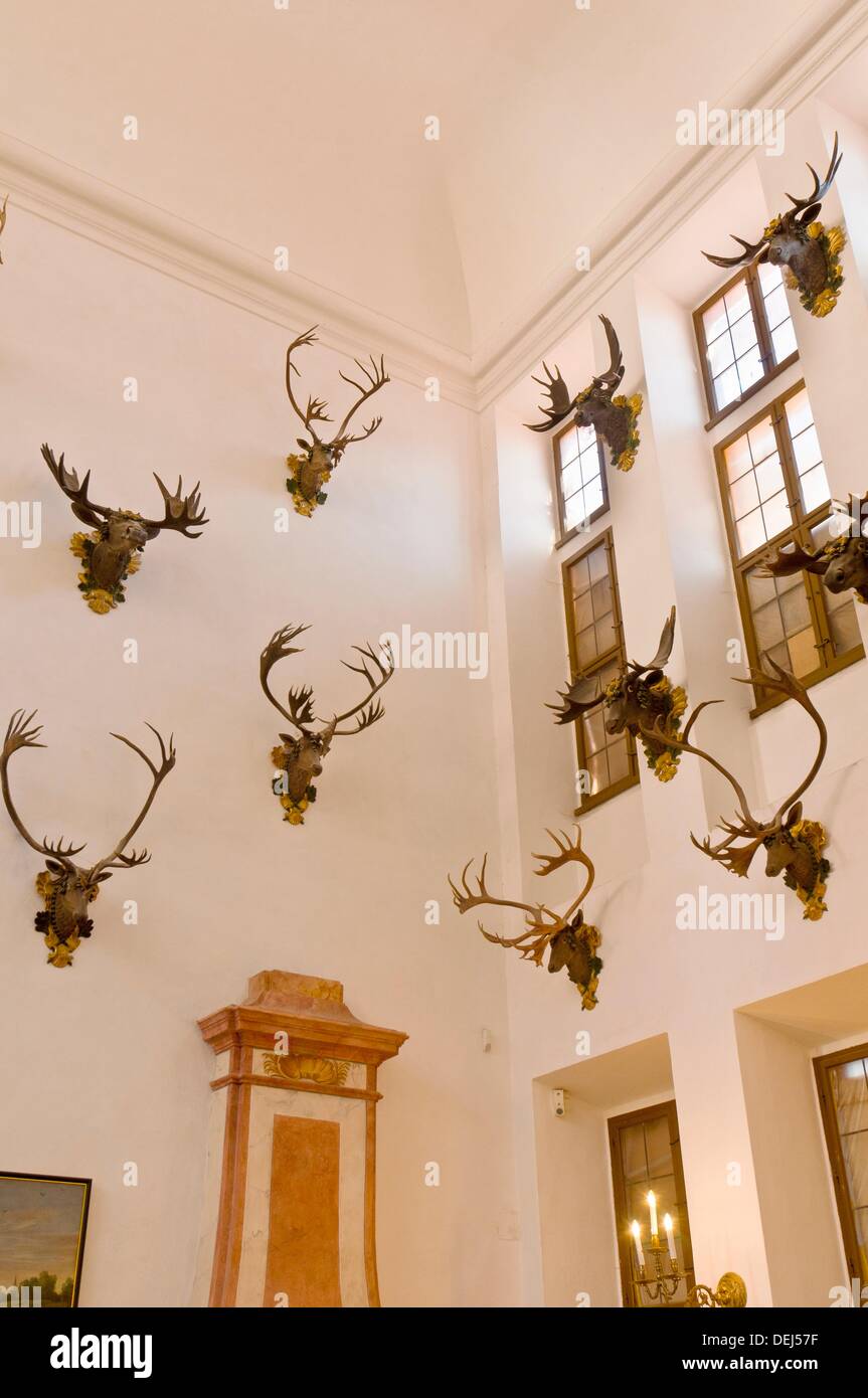 Moritzburg Interior High Resolution Stock Photography and Images - Alamy