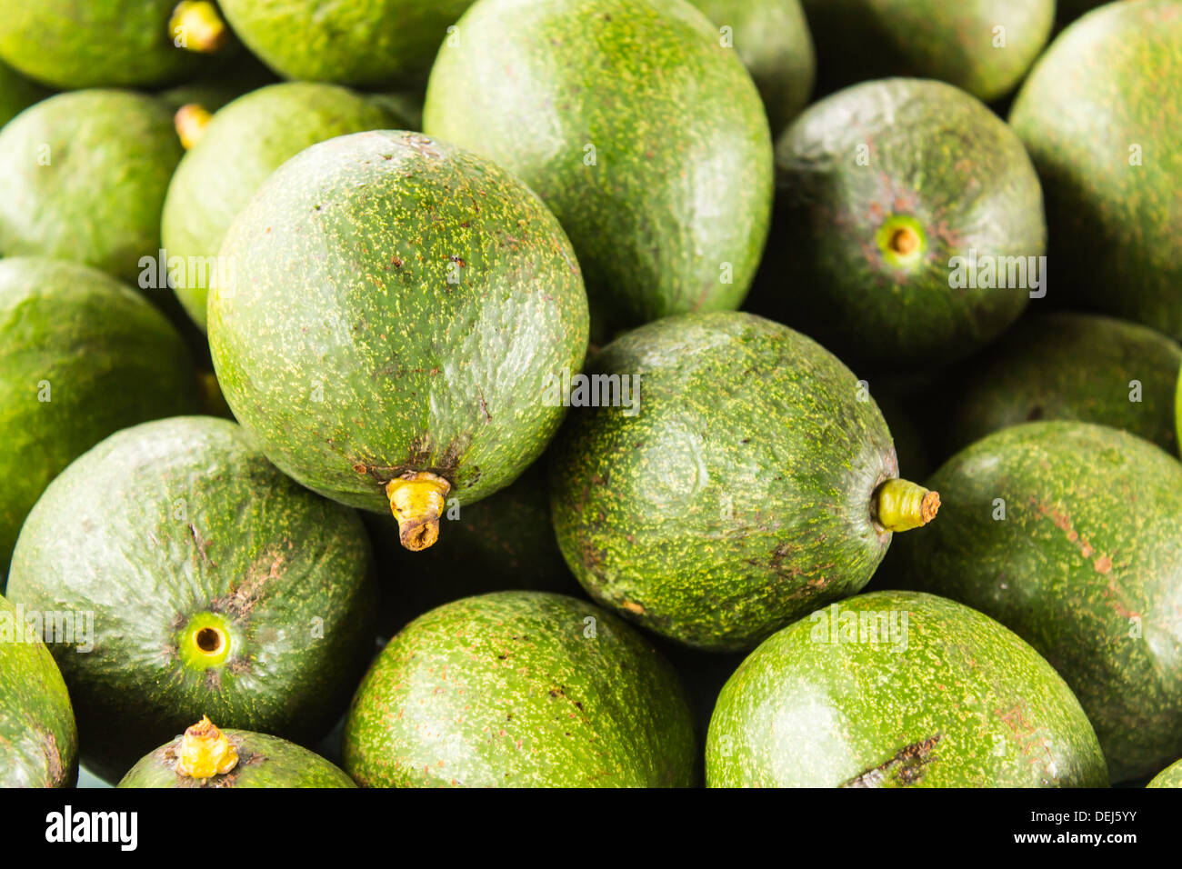 Avocado wallpaper hi-res stock photography and images - Alamy