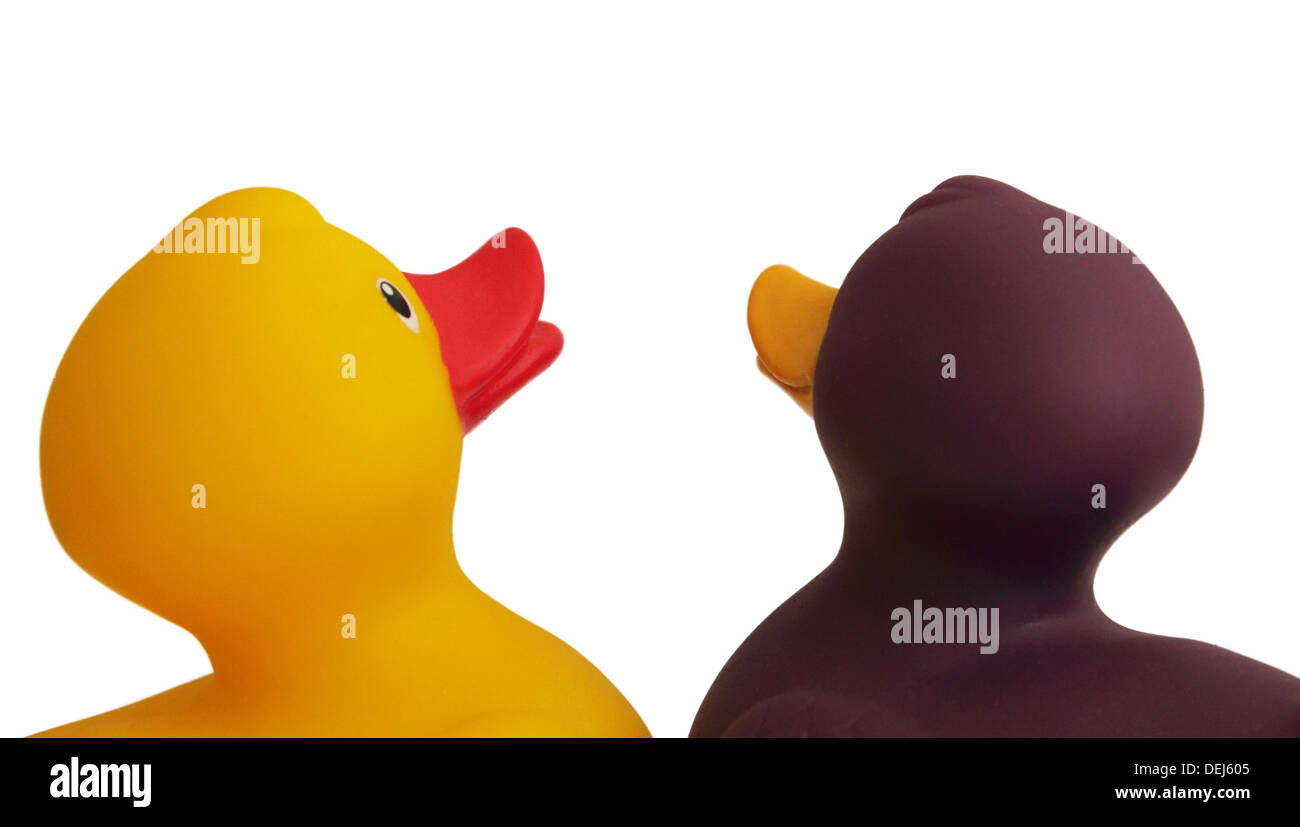 Two rubber ducks representing diversity and togetherness Stock Photo ...