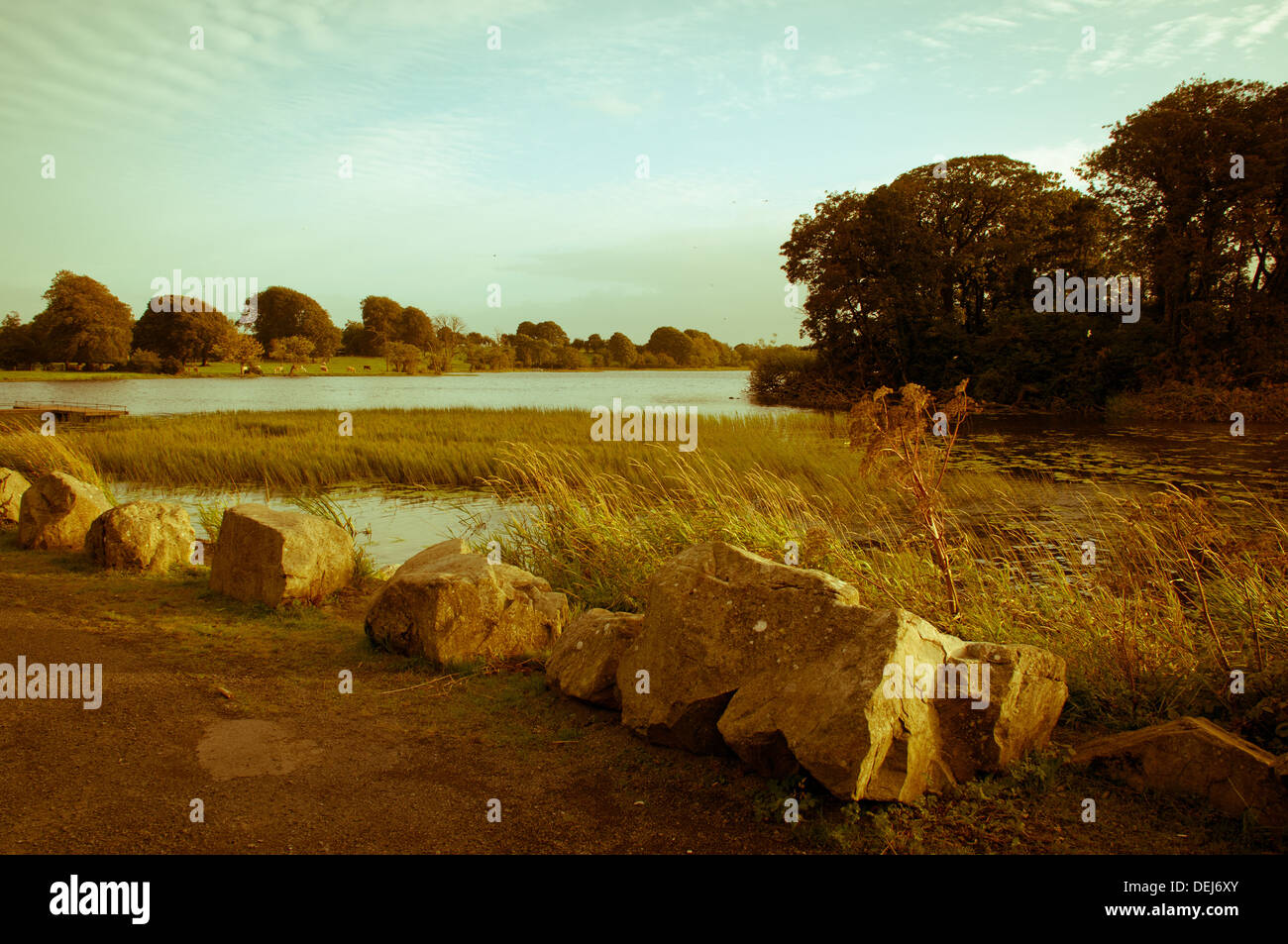 Mullagh lake in County Cavan, Ireland Stock Photo - Alamy
