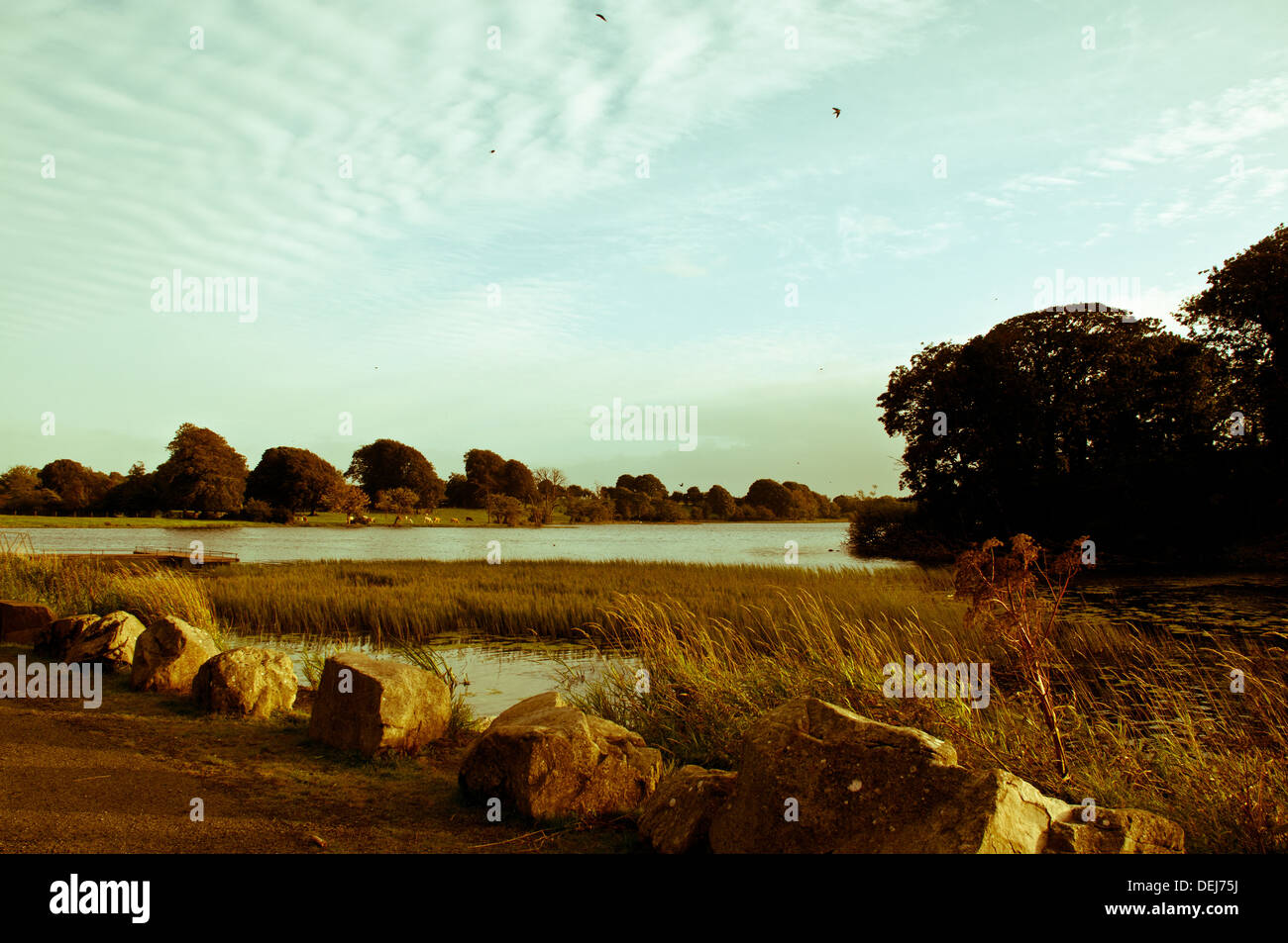 Mullagh lake in County Cavan, Ireland Stock Photo - Alamy