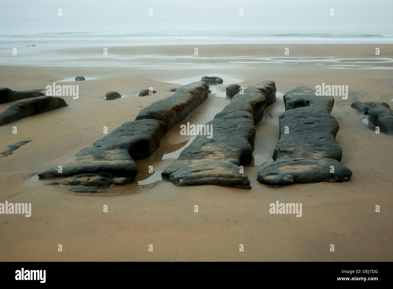 OREGON - Eroded sandstone on Beverly Beach at Beverly Beach State Park ...
