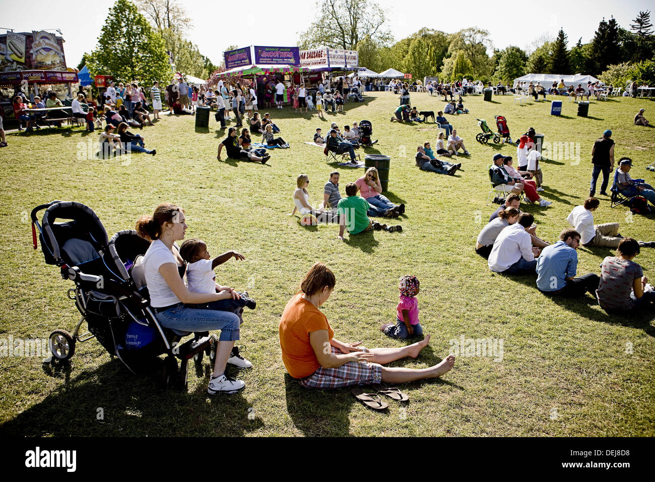 Lilac Festival Rochester Ny