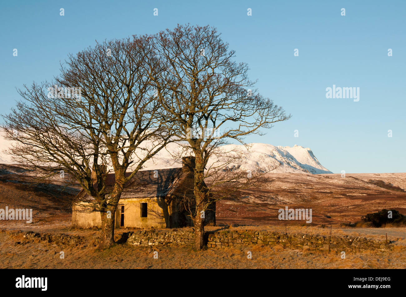 The Sgòr Chaonasaid top of Ben Loyal from the abandoned cottage at ...