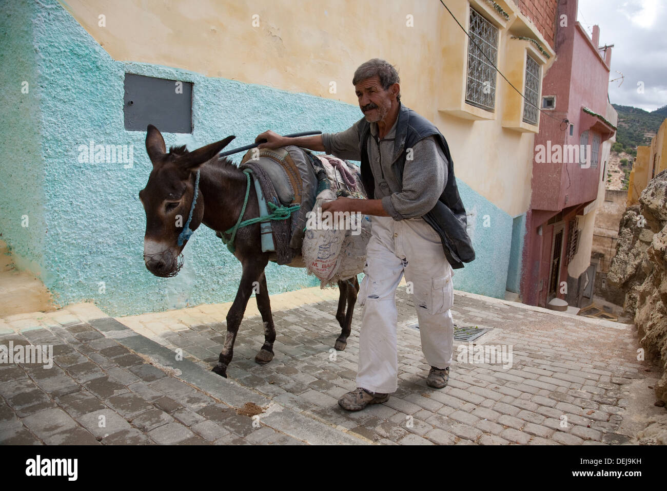 Man walking with donkey hi-res stock photography and images - Alamy