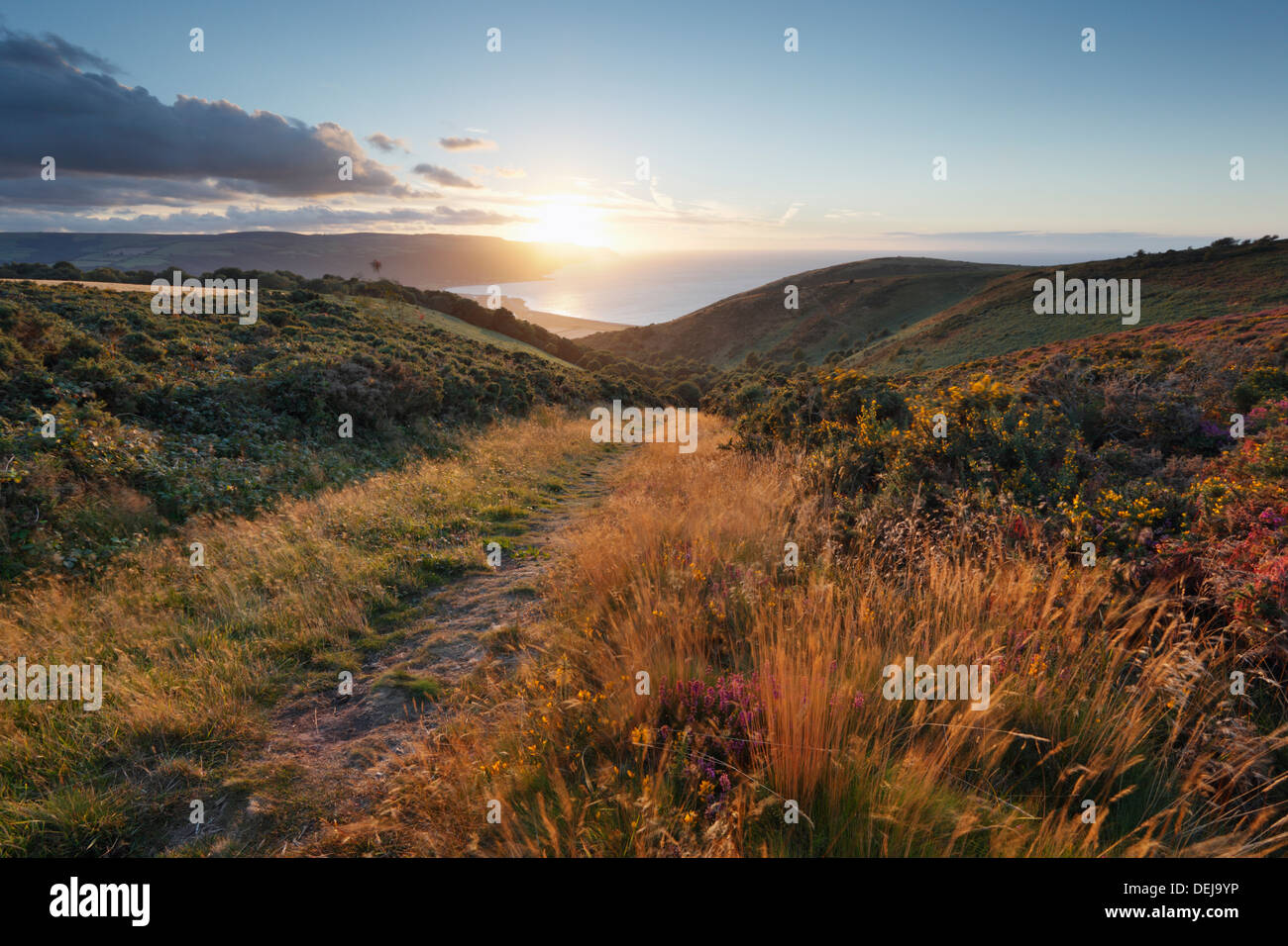 Bossington hill path hi-res stock photography and images - Alamy