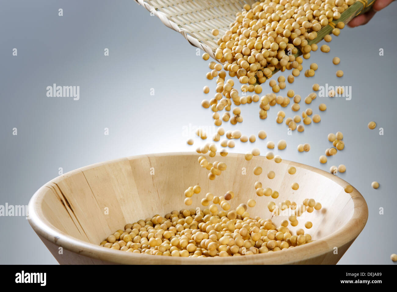 Human hand holding pouring soybean hi-res stock photography and images ...