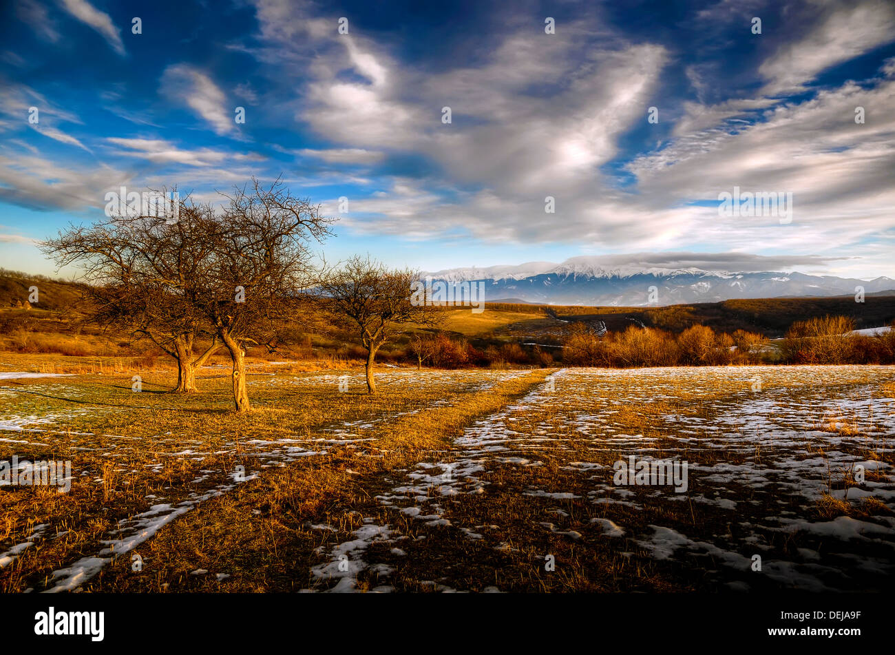 landscape with trees and mountains in background in high dynamic range ...