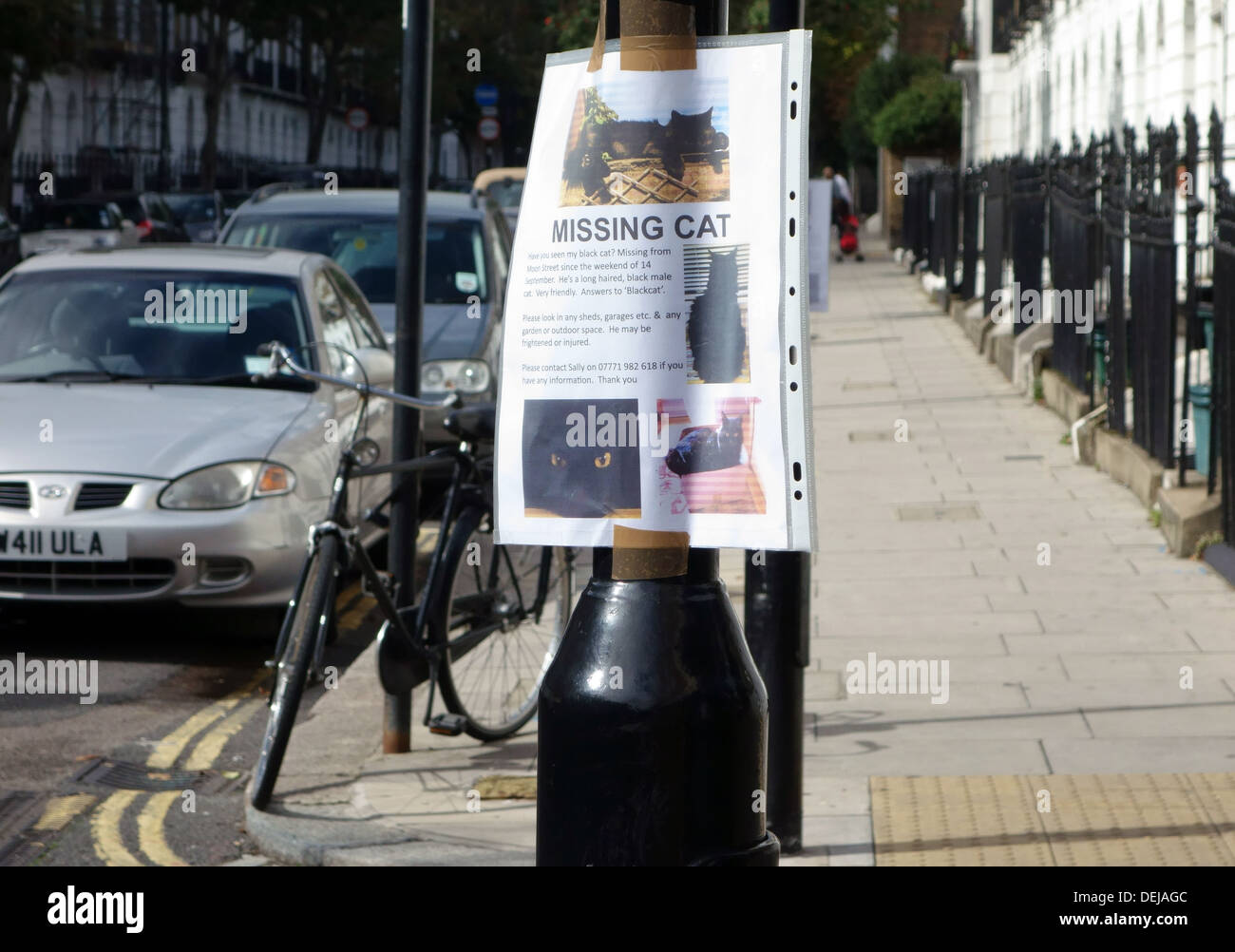 Lost cat notice hi-res stock photography and images - Alamy