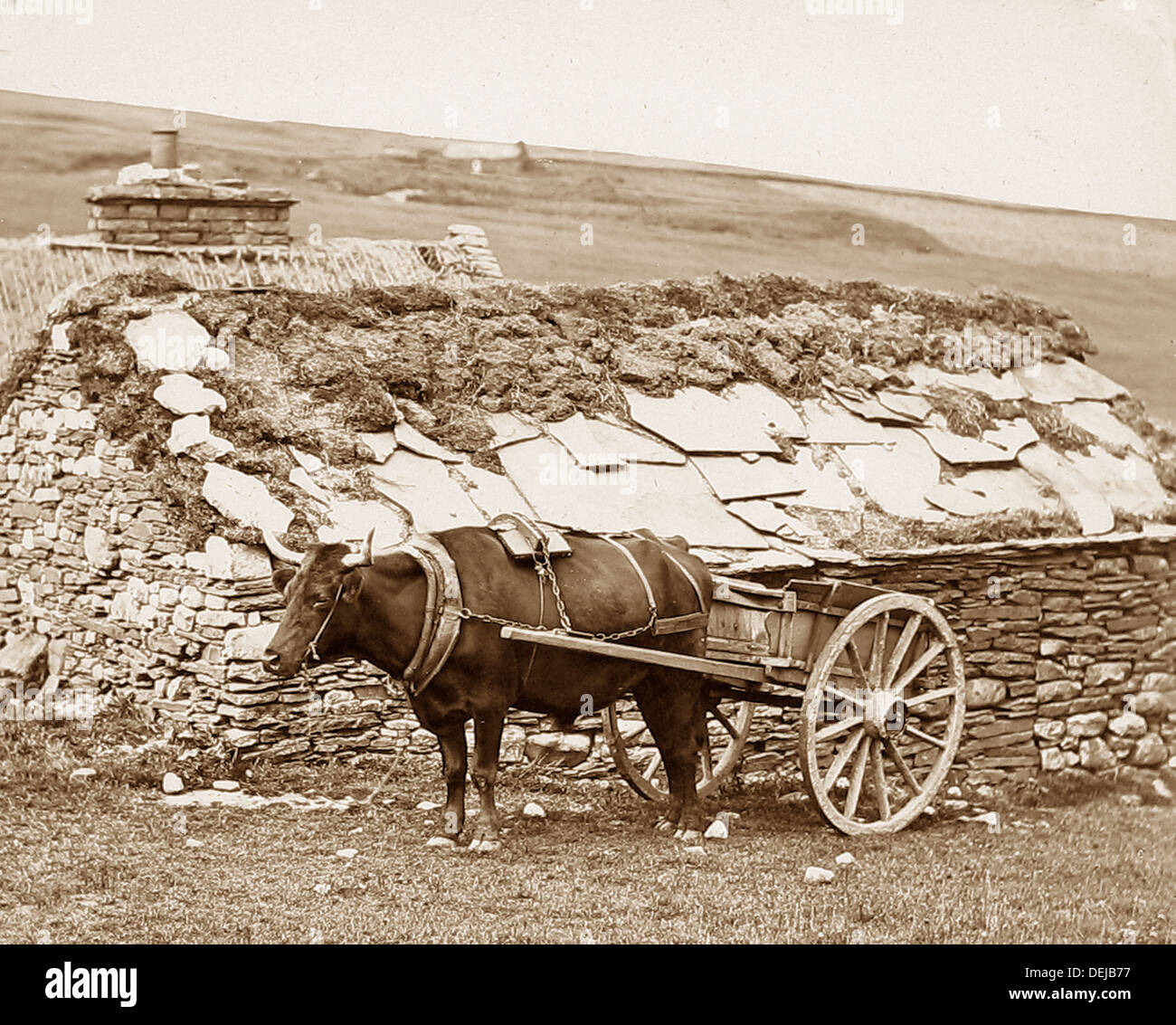 A Highland Croft Victorian period Stock Photo - Alamy