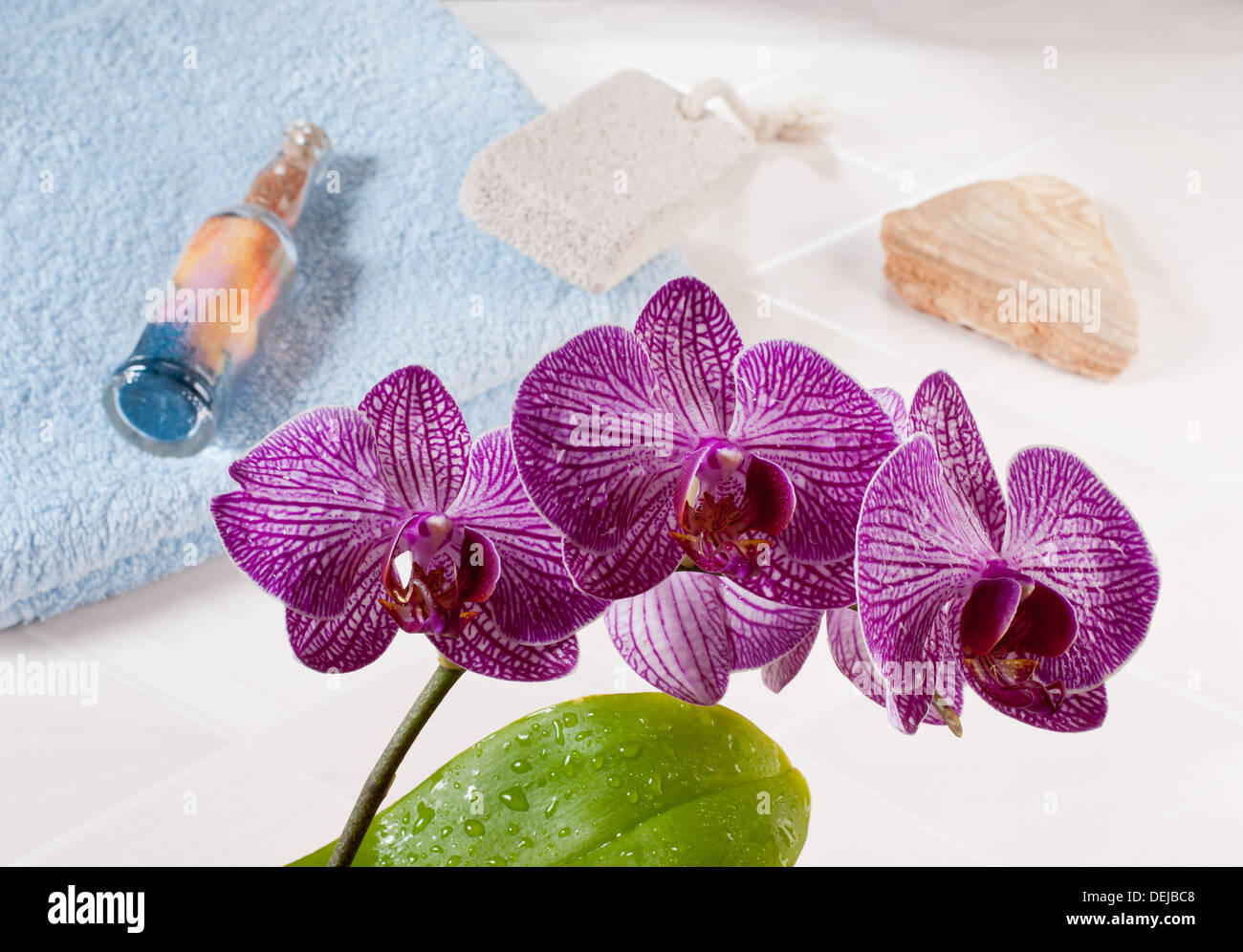 orchid in the bathroom Stock Photo - Alamy