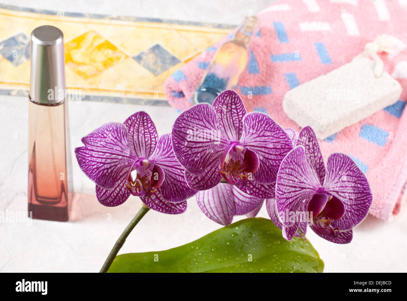 orchid in the bathroom Stock Photo - Alamy