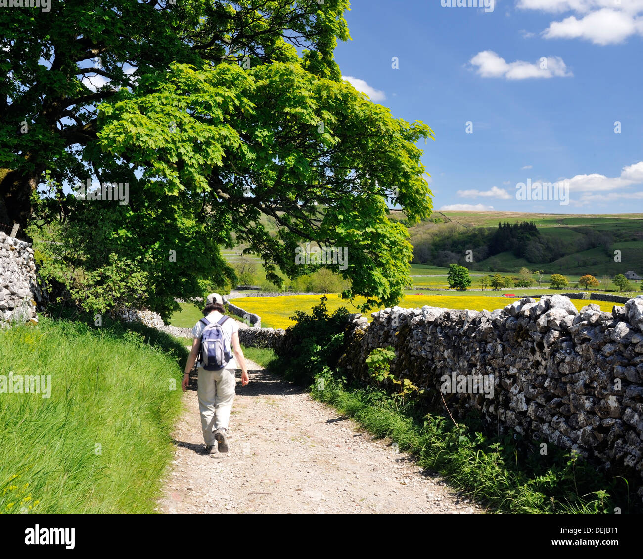 Accesslane hi-res stock photography and images - Alamy