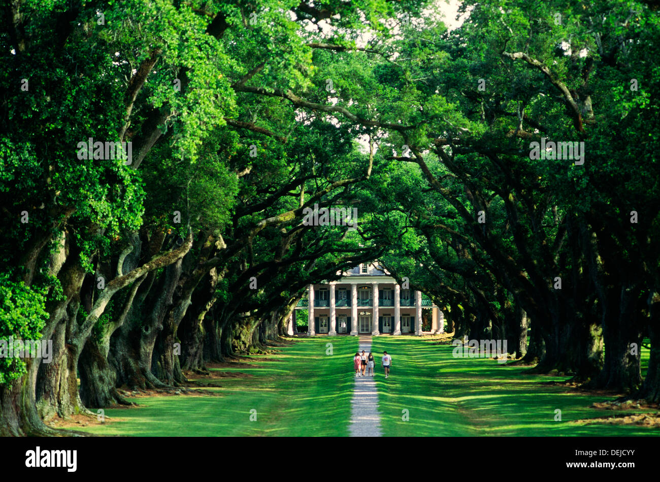United states louisiana vacherie oak hi-res stock photography and ...