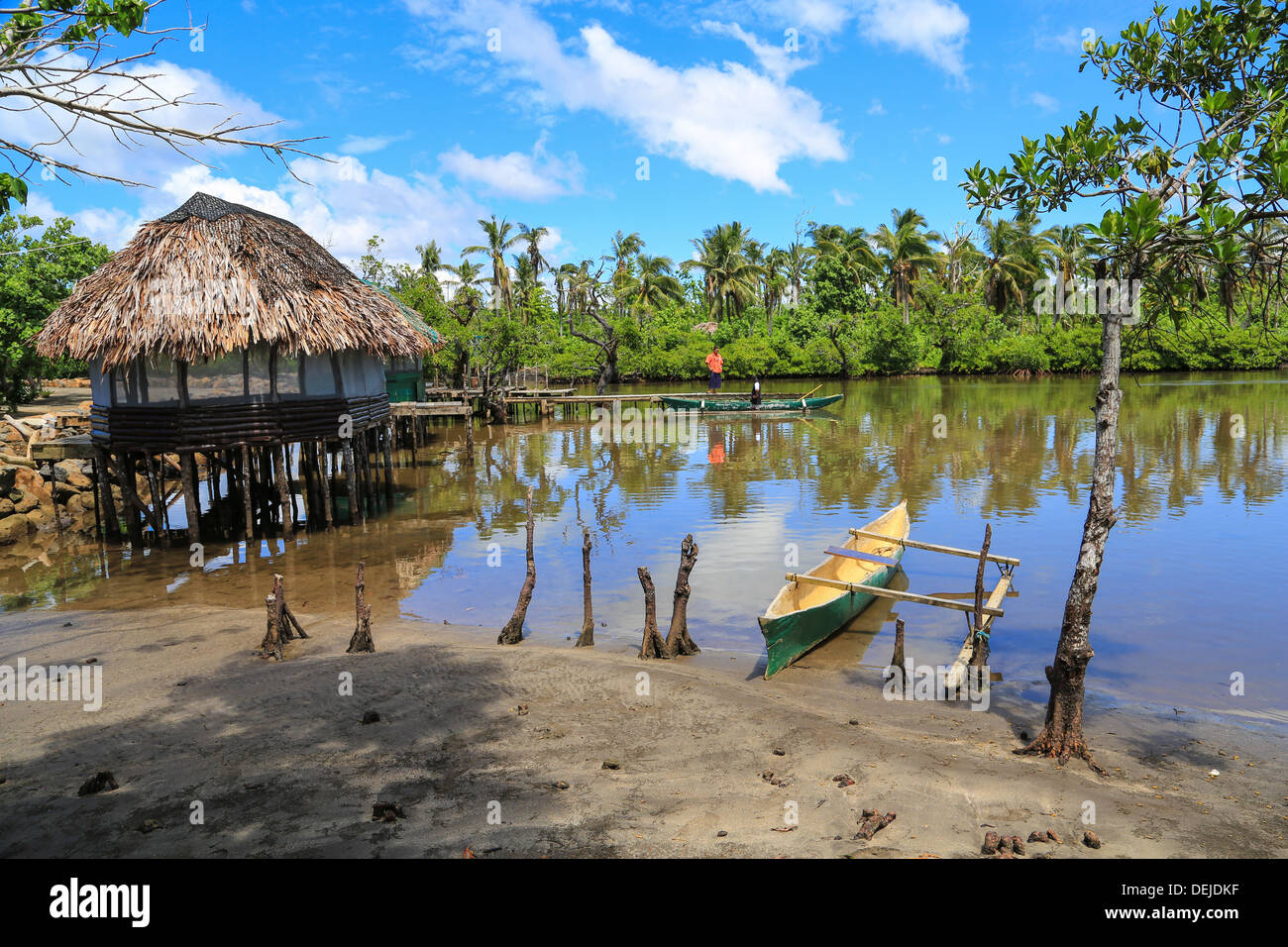 Outrigger canoe on mangrove slough outlet to Safata Bay, Samoa Stock ...