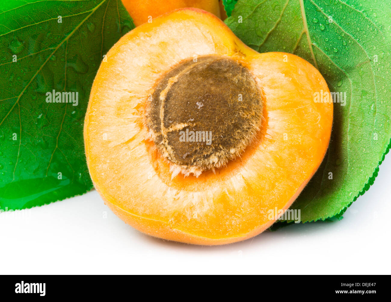 Apricot leaf hi-res stock photography and images - Alamy