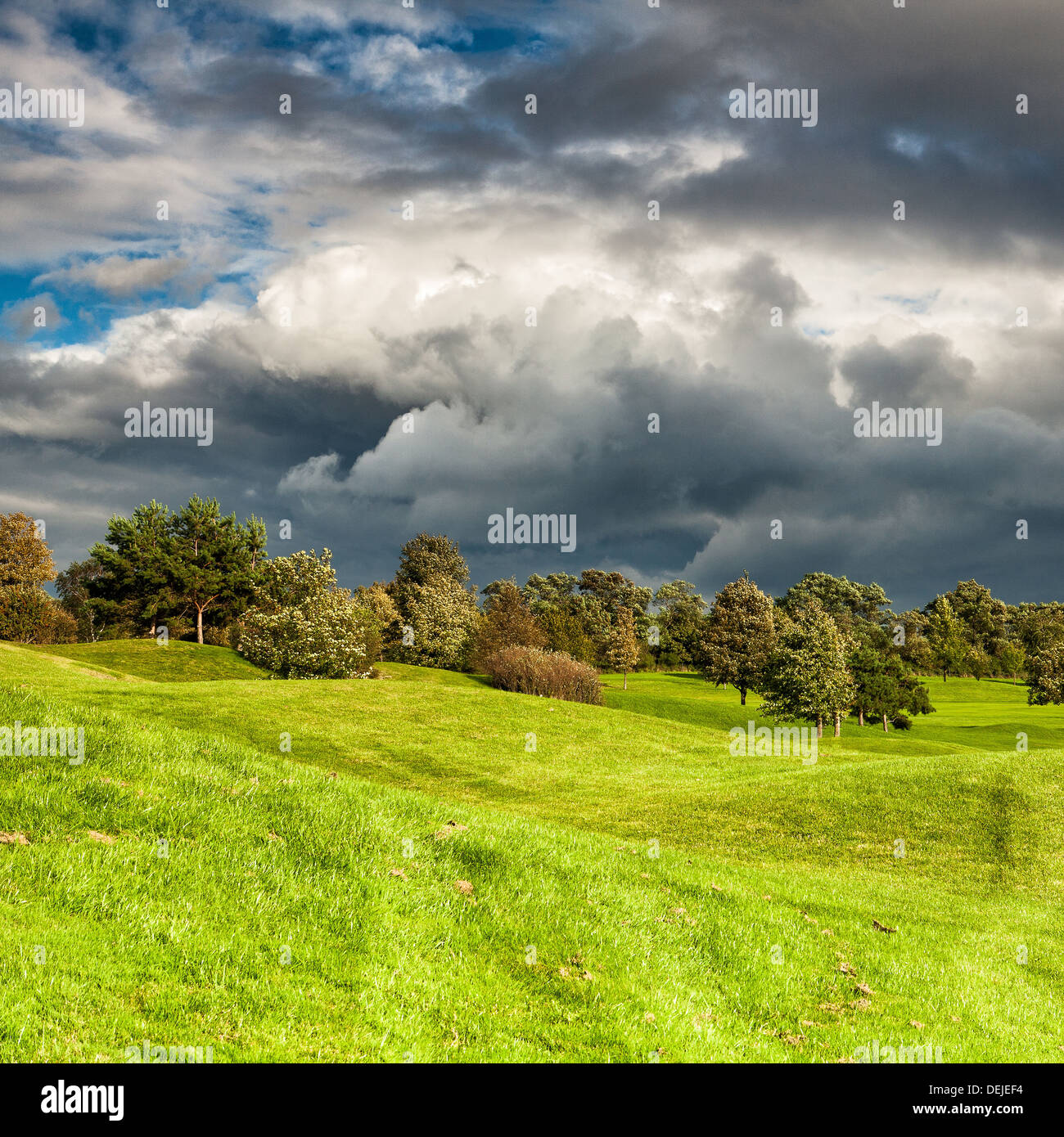 Summer golf course after storm Stock Photo - Alamy