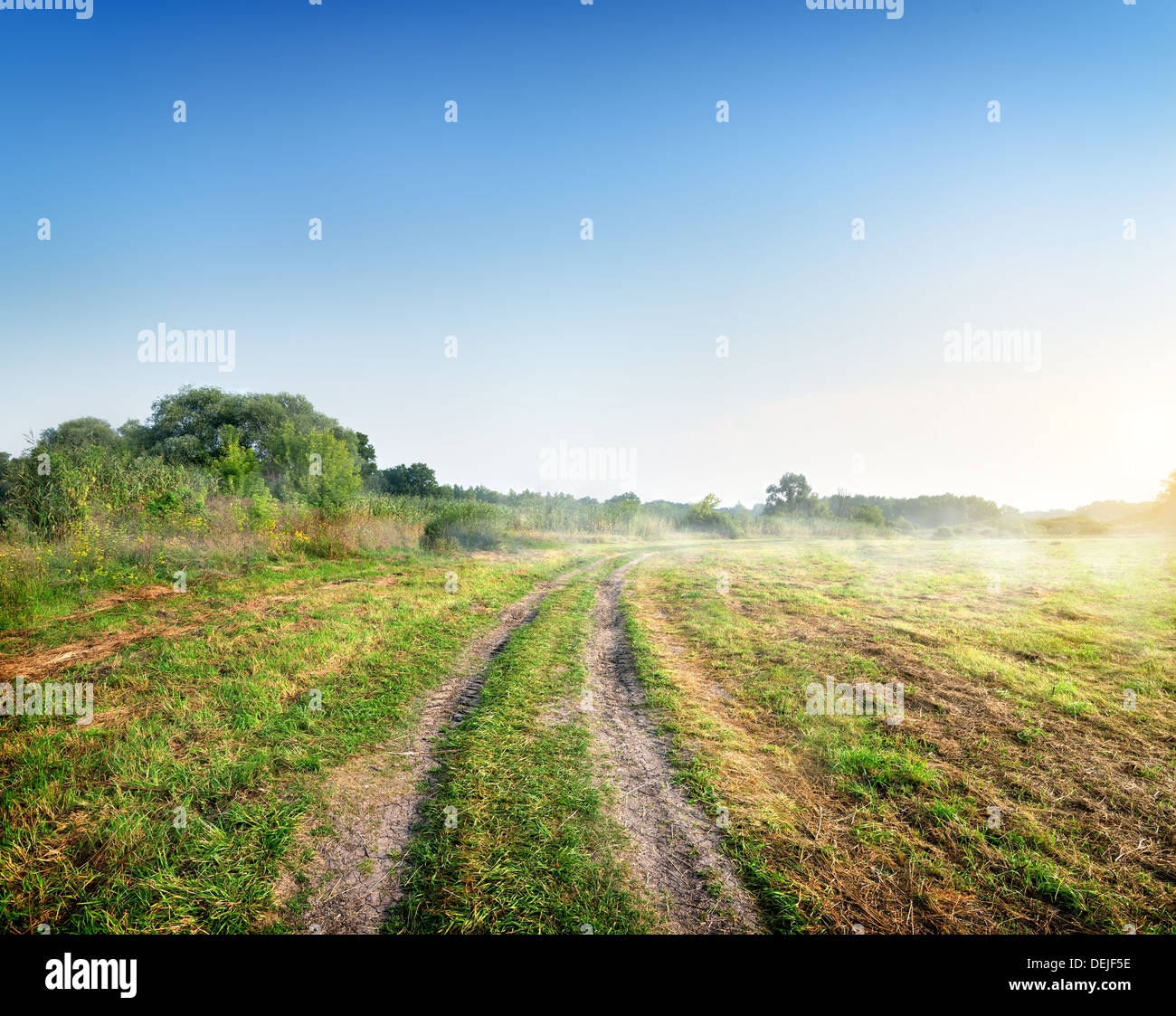 Fog over grass in hi-res stock photography and images - Alamy