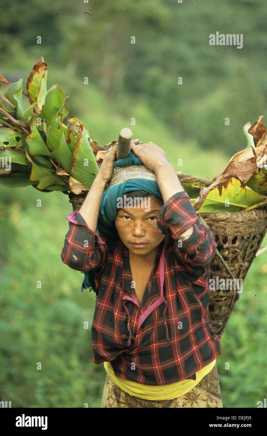 nepal, himalaya, people, village, asia, tourism, nepalese, person ...