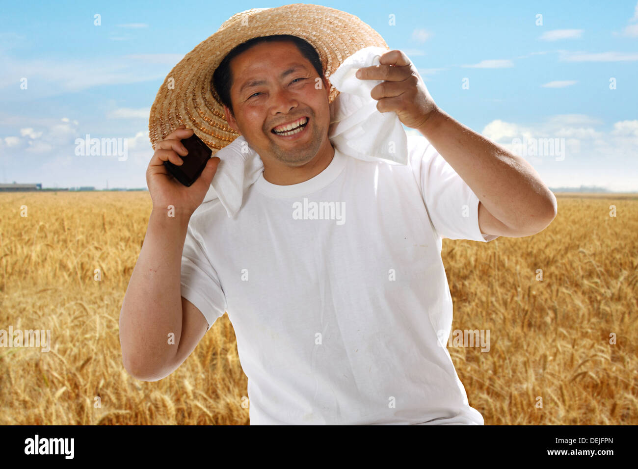 Farmer making phone call in wheat field Stock Photo - Alamy