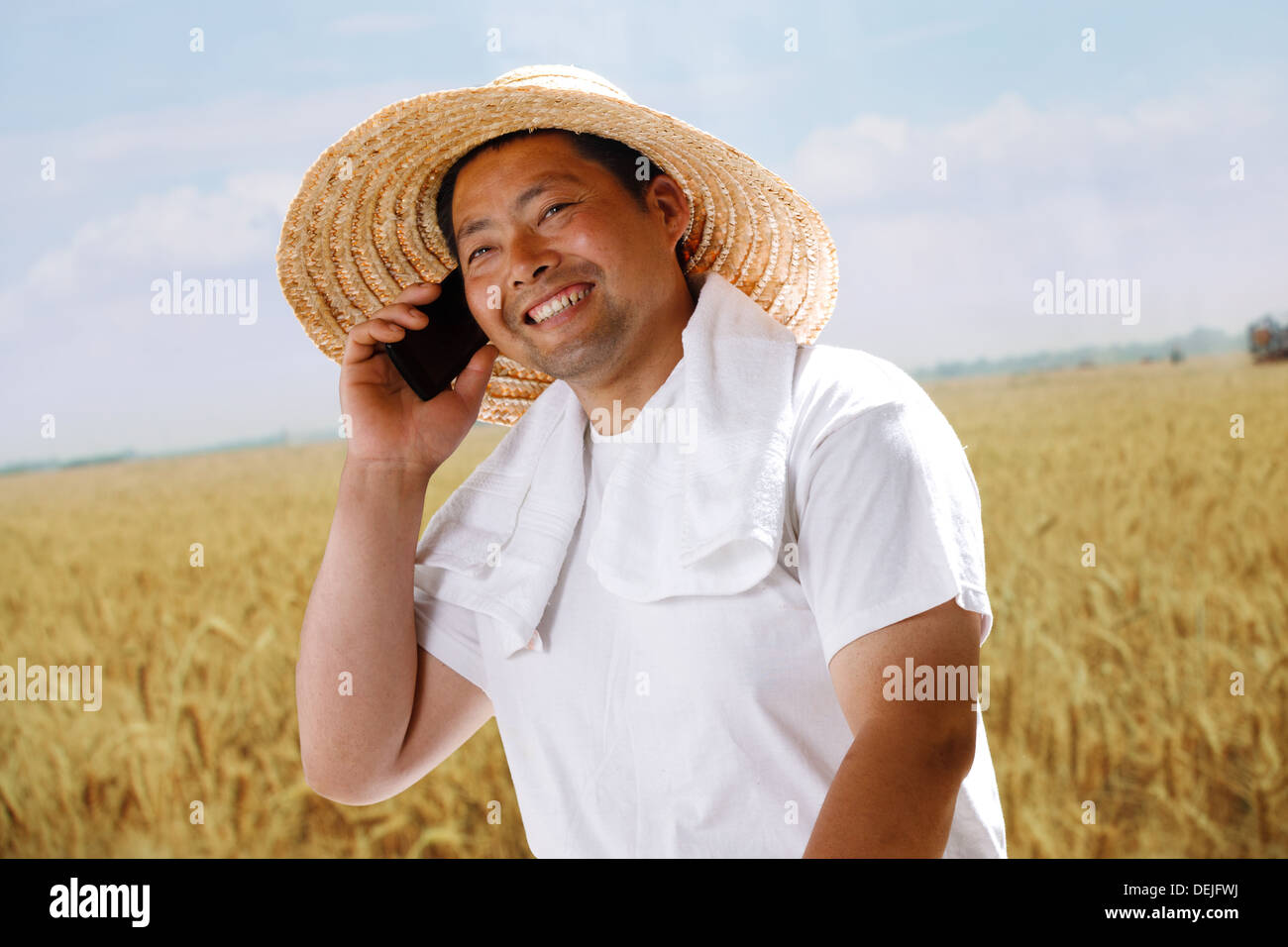 Farmer making phone call in wheat field Stock Photo - Alamy