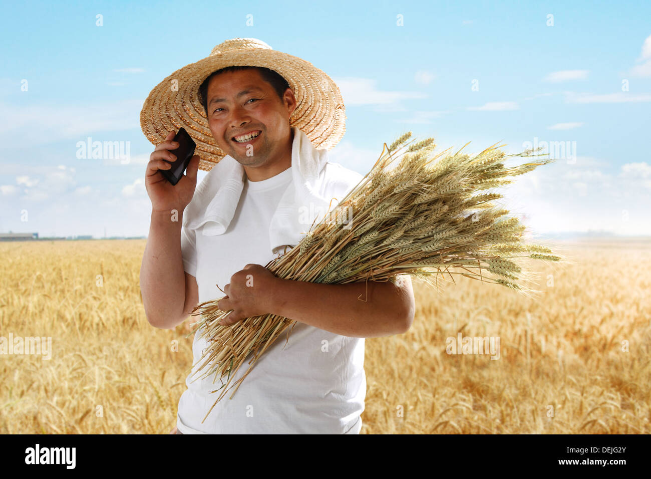 Farmer making phone call in hi-res stock photography and images - Alamy