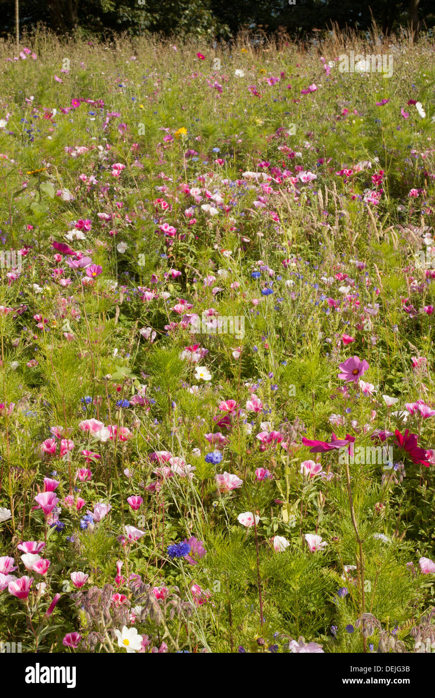 Filey park hi-res stock photography and images - Alamy