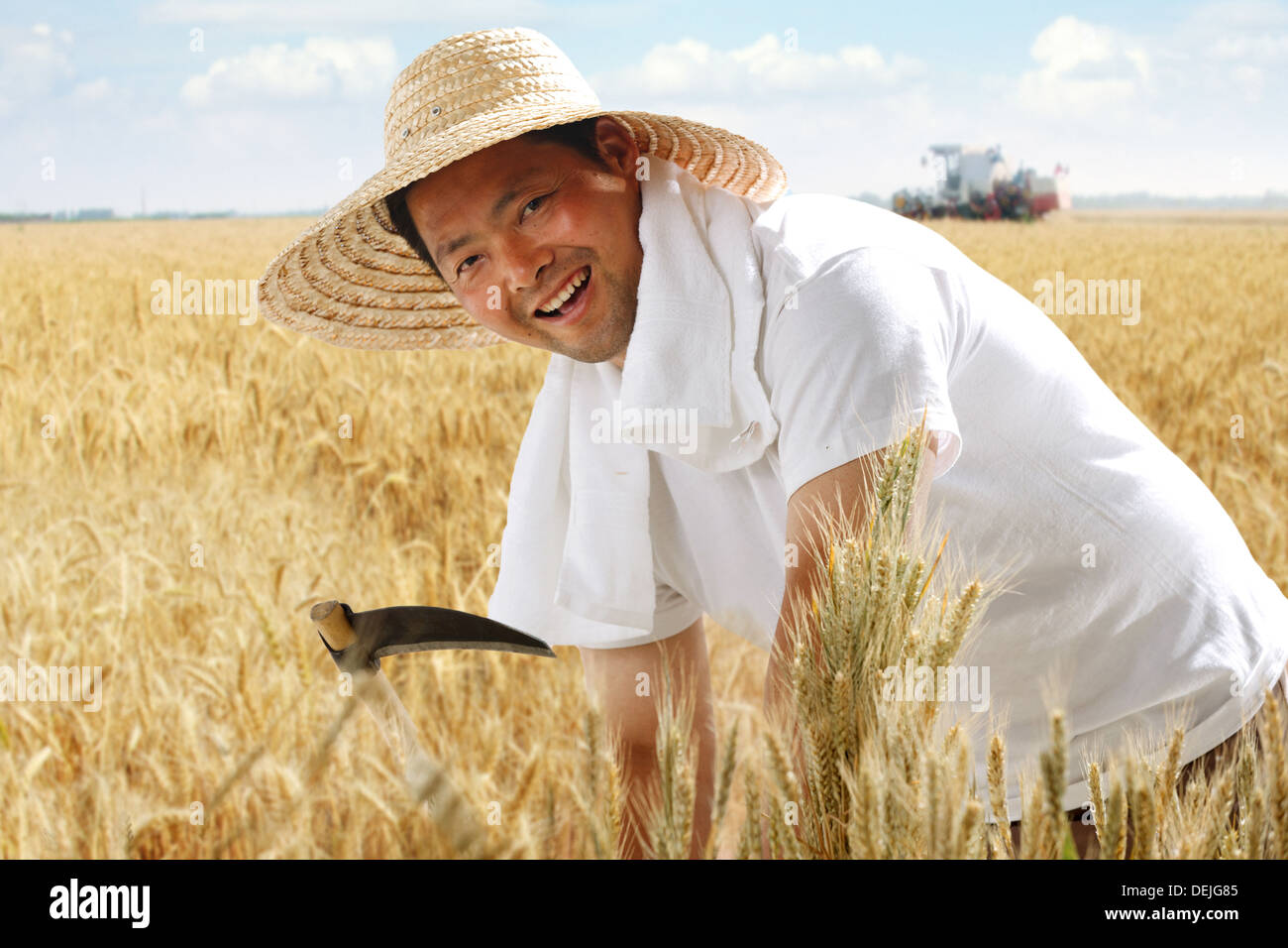 Farmer in wheat field Stock Photo - Alamy