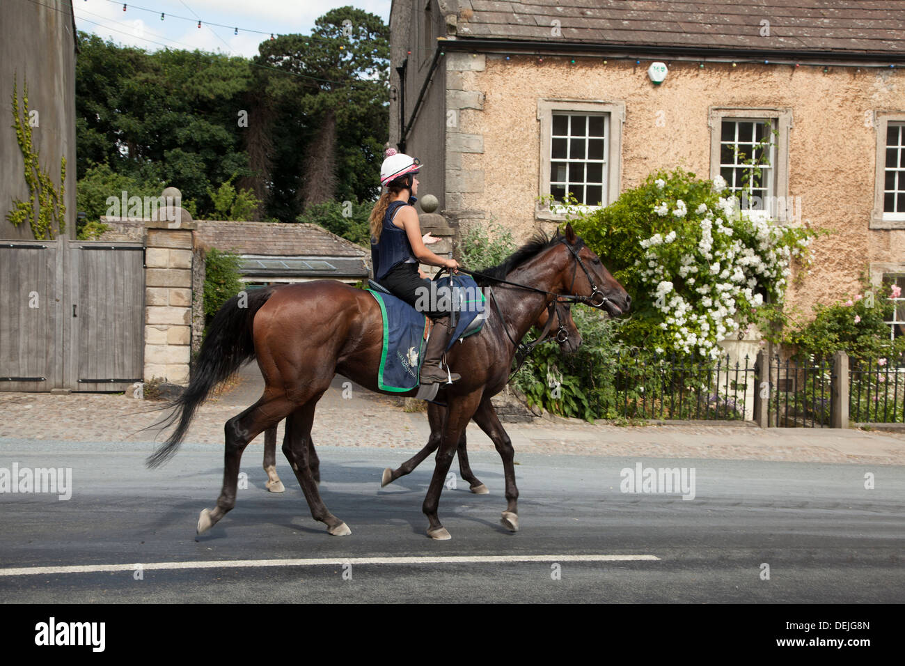 Rave horse hi-res stock photography and images - Alamy