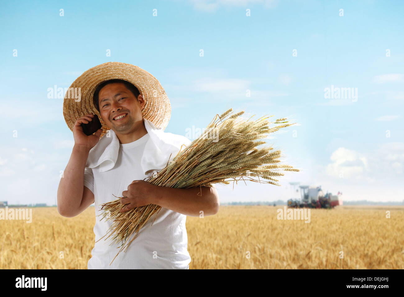 Farmer holding wheat and making phone call Stock Photo - Alamy