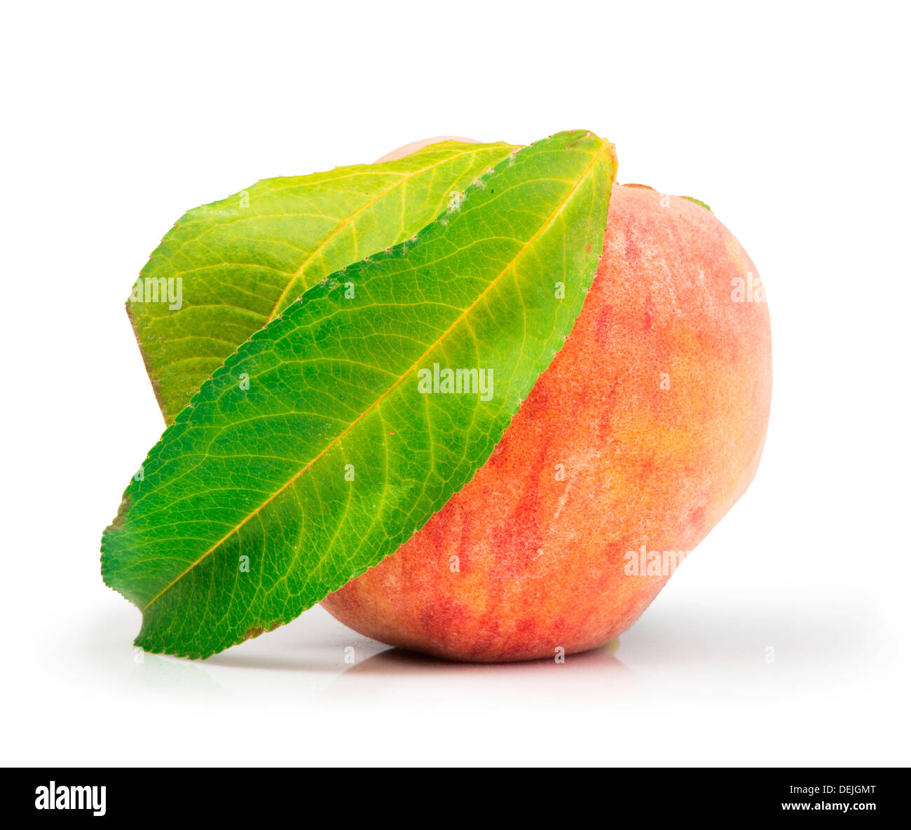 Peach and leaf white isolated Stock Photo - Alamy