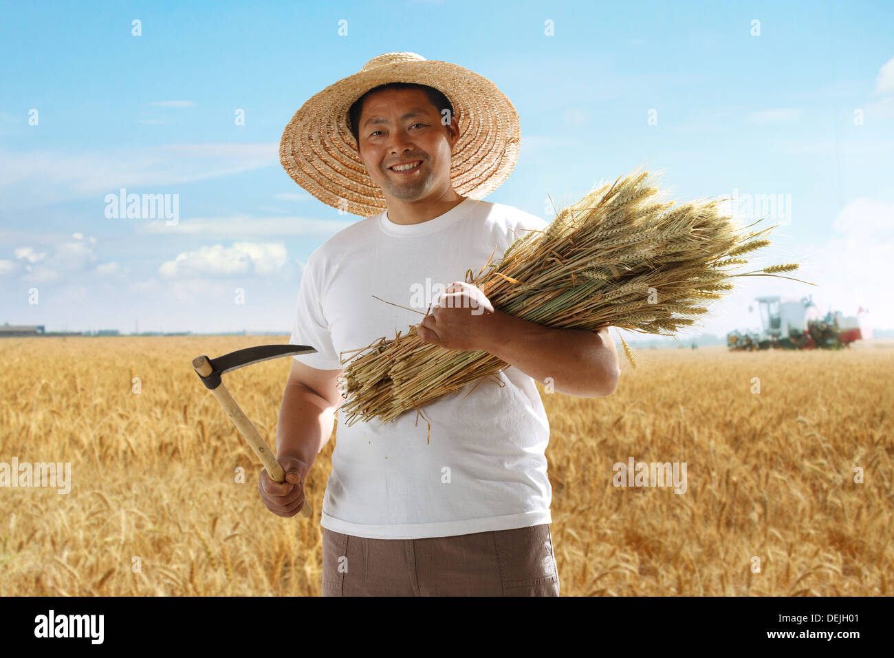 Farmer holding scythe and wheat in wheat field Stock Photo - Alamy