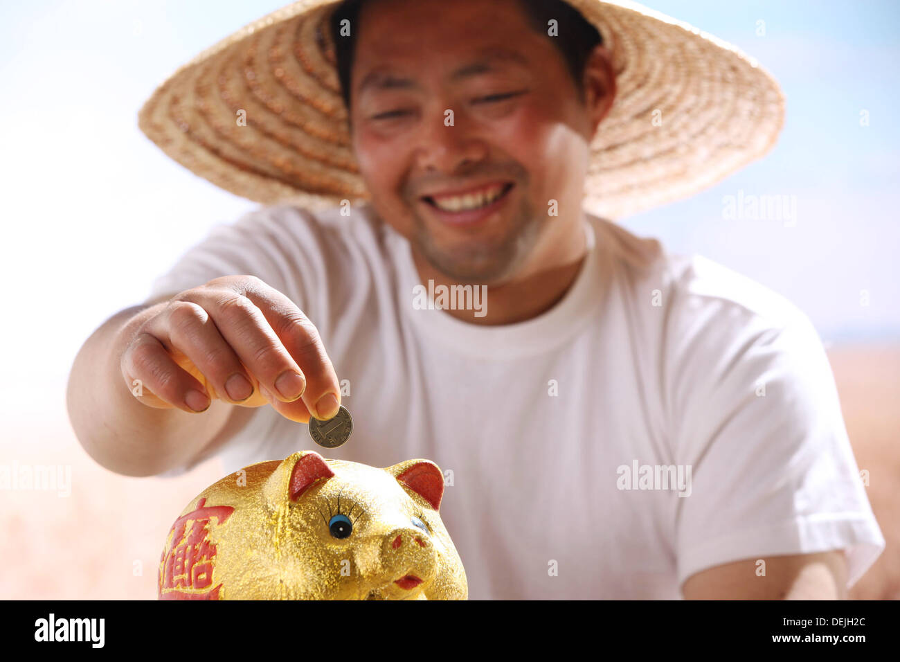 Farmer putting coin in piggy bank Stock Photo - Alamy