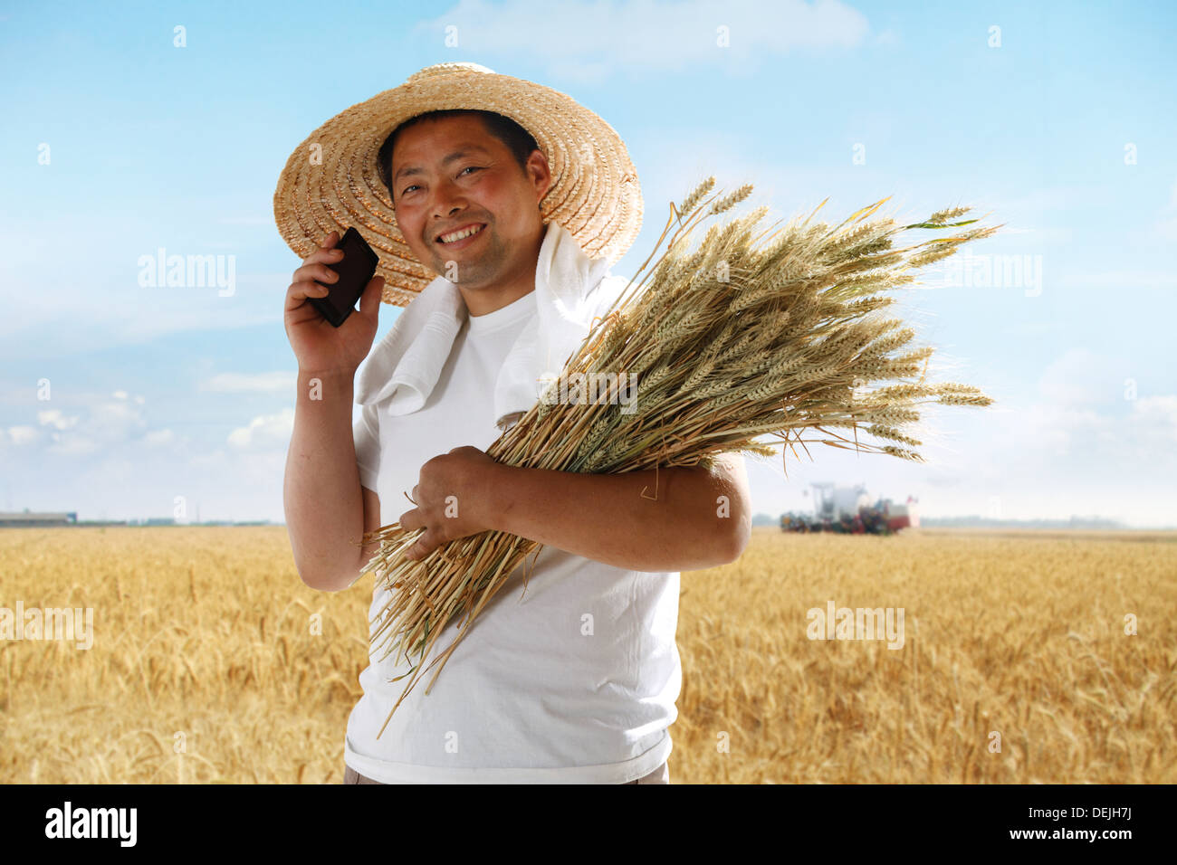 Farmer holding wheat and making phone call Stock Photo - Alamy