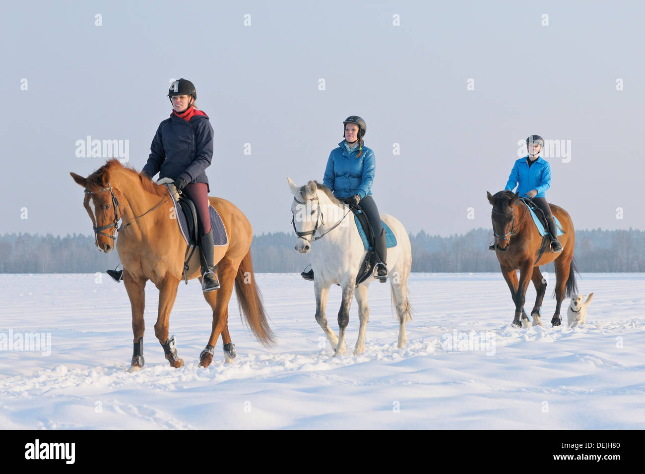 Three riders during a ride out in winter together with a dog Stock ...