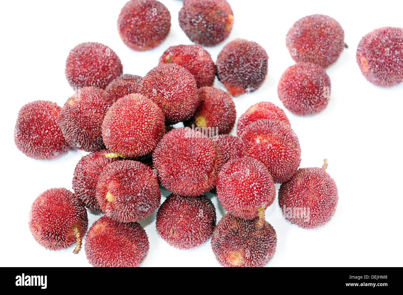 Bayberry hi-res stock photography and images - Alamy