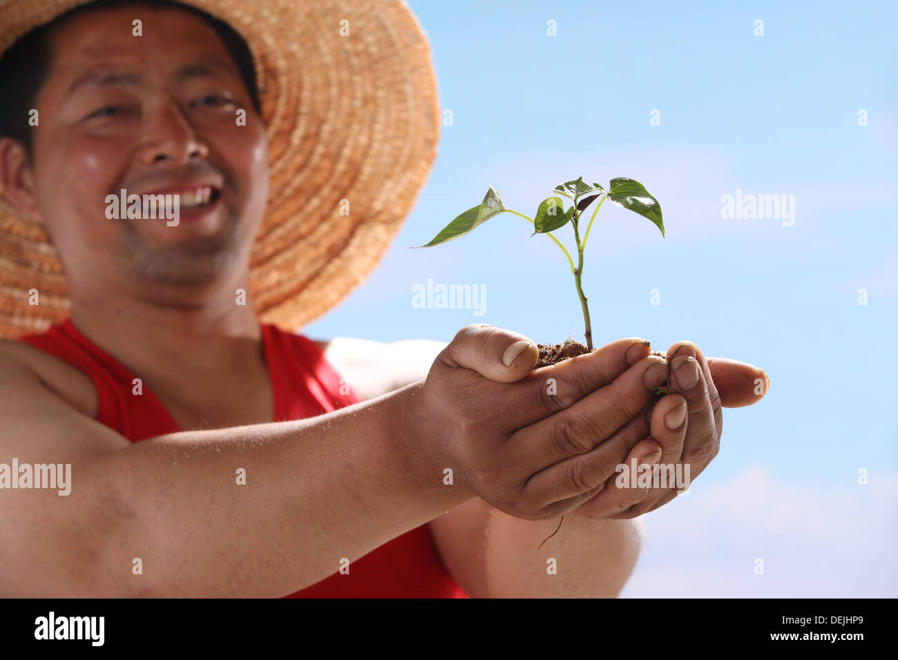 Farmer holding seedling Stock Photo - Alamy