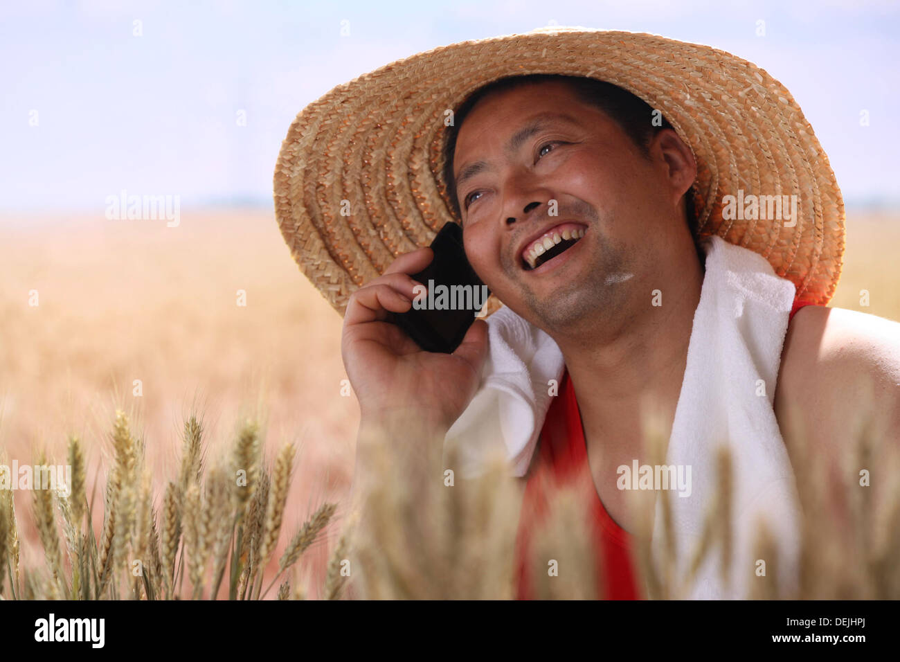 Farmer making phone call in wheat field Stock Photo - Alamy
