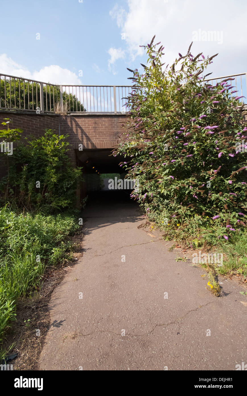 Underpass pathway hi-res stock photography and images - Alamy