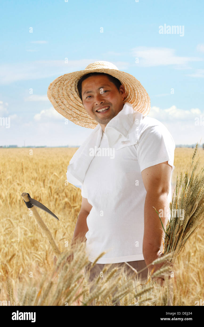 Farmer in wheat field with sickle Stock Photo - Alamy